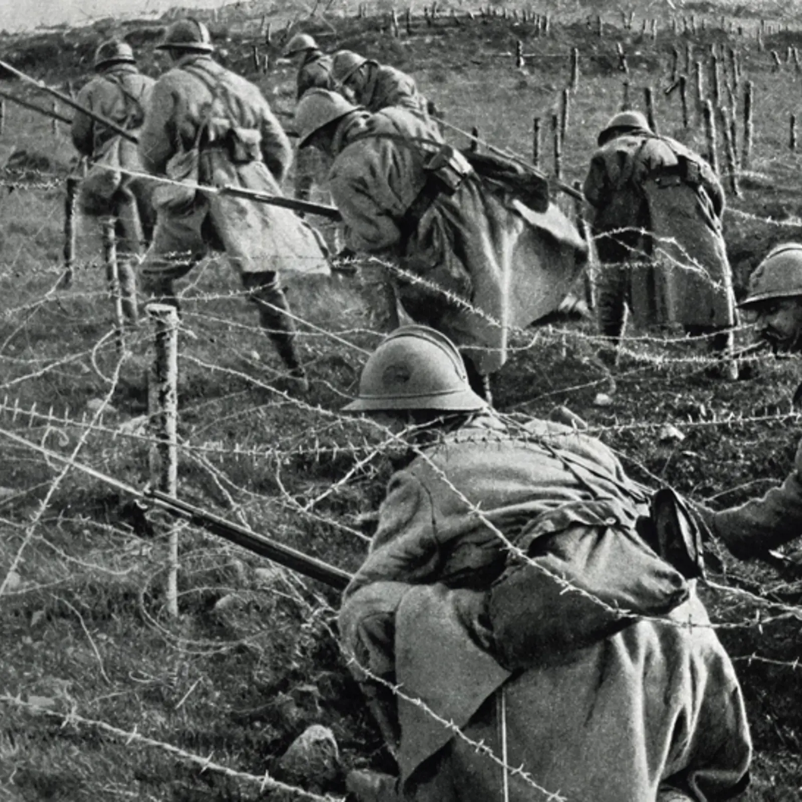 All Digital Library Services